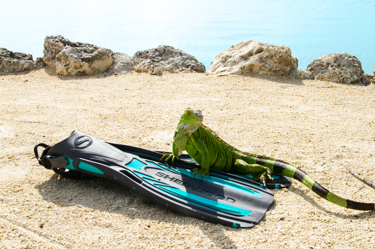 Top collection of Scuba Dive Fins, Tech Fins, Freediving & Snorkeling ...