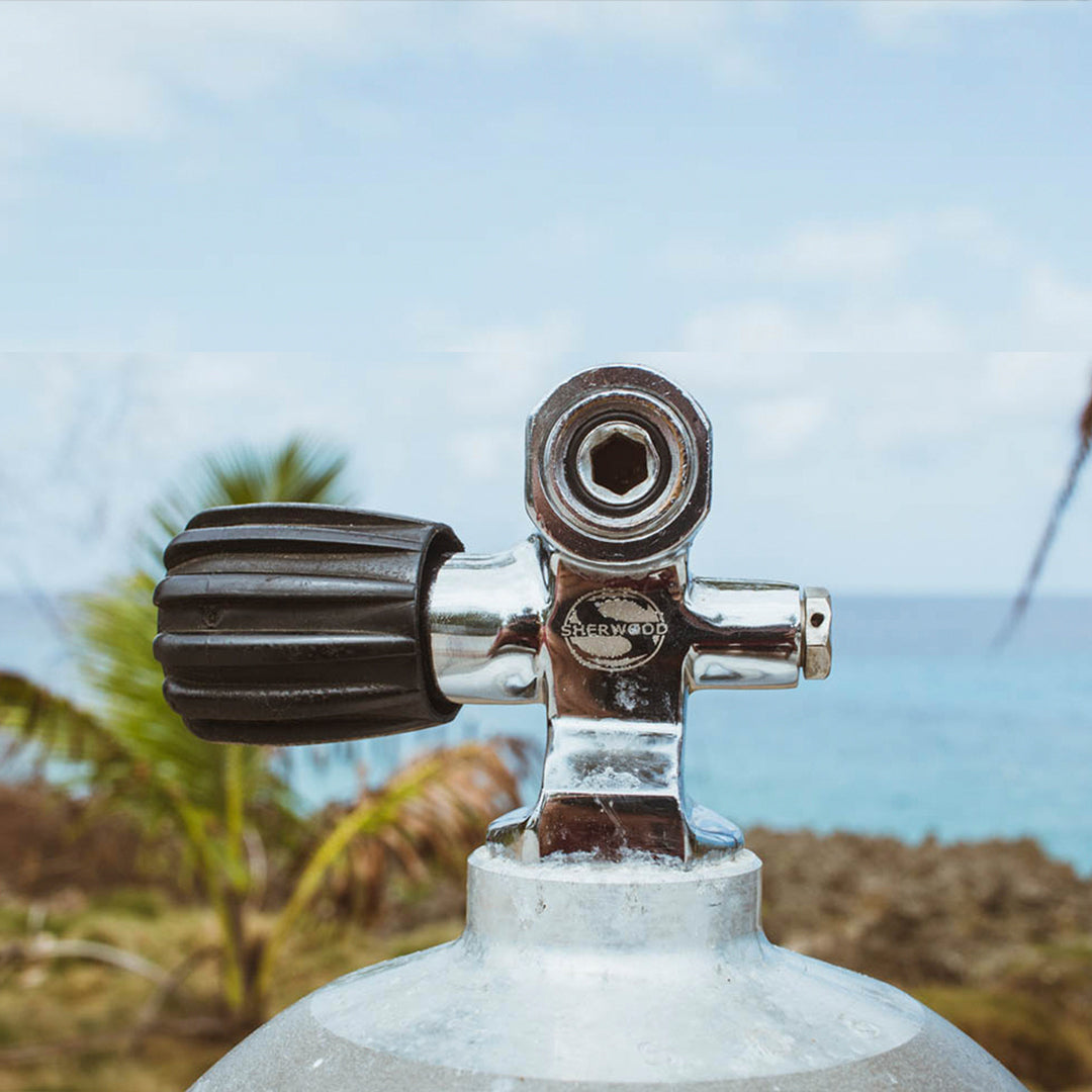 Catalina ถังดำน้ำ S80 cu.ft พร้อมวาล์ว – One Stop Dive Thailand